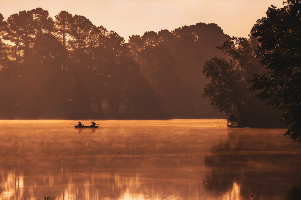 Home - Come See Wilson