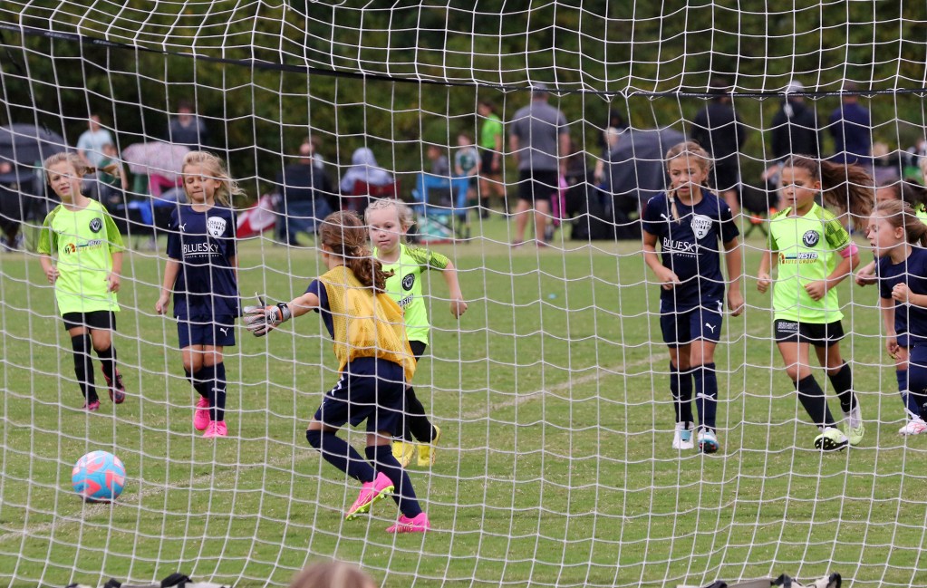 Gillette Complex - Come See Wilson